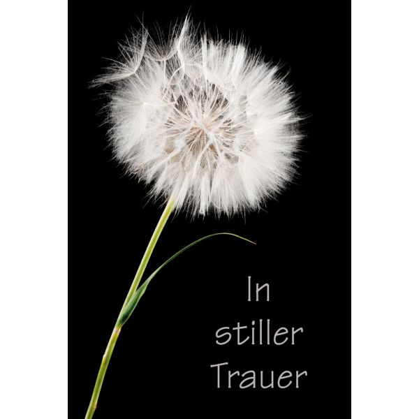 Trauer Beileid Kondolenzkarte mit Briefumschlag In stiller Trauer ...