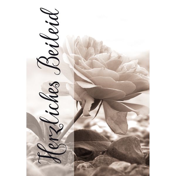 Trauer Kondolenz Beileidskarte mit Briefumschlag Rose Herzliches ...
