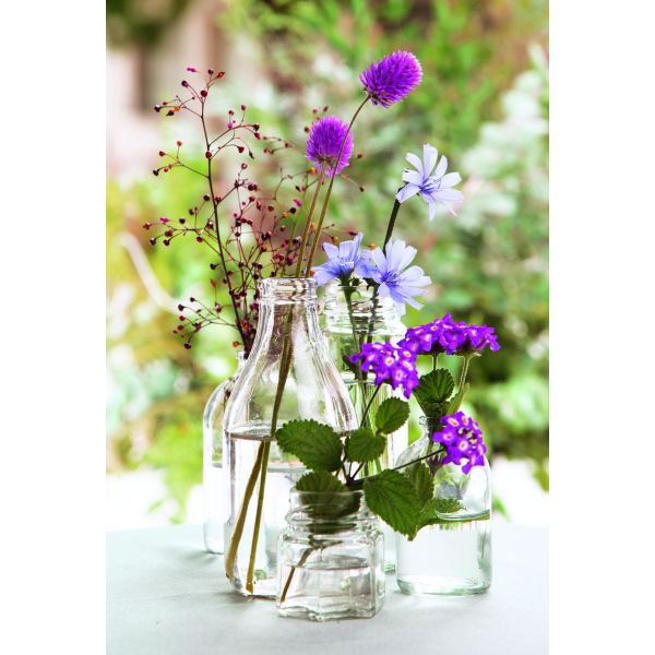 Fotokarte Blumen - Glückwunschkarten im Format 11,5 x 17 cm - Blumen ...