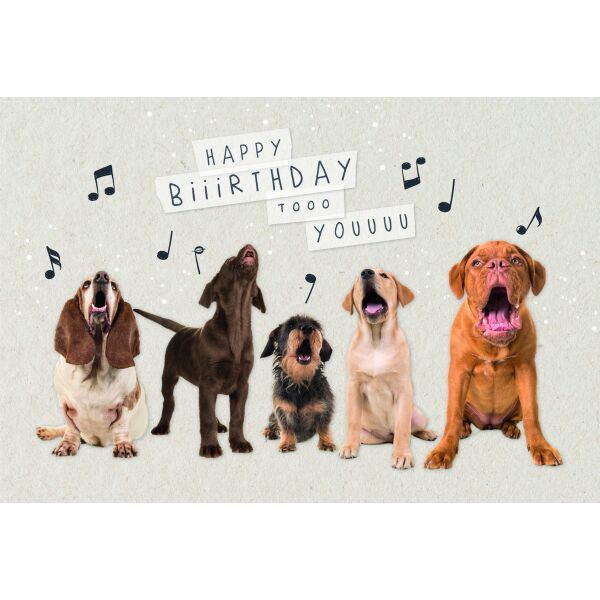 Geburtstag Glückwunschkarte mit Briefumschlag Singende Hunde Happy ...