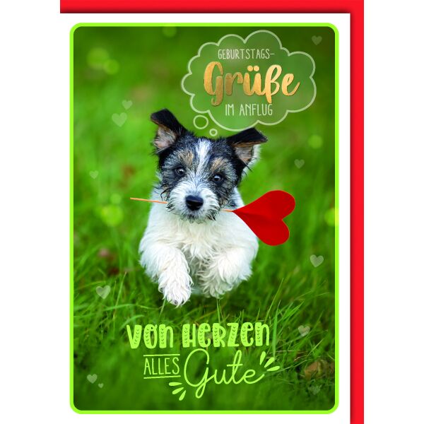 Sss Geburtstagsgrsse Hund